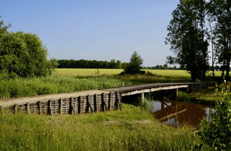 Romeinse brug Tungelroy – Henk Simons, verzamelde werken
